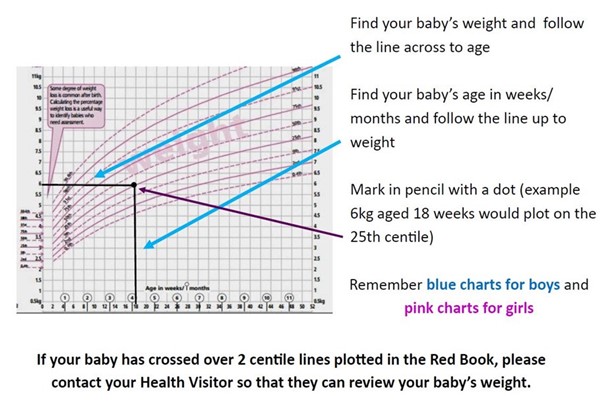 Your Baby’s weight and development - Hertfordshire | Health for Under5s